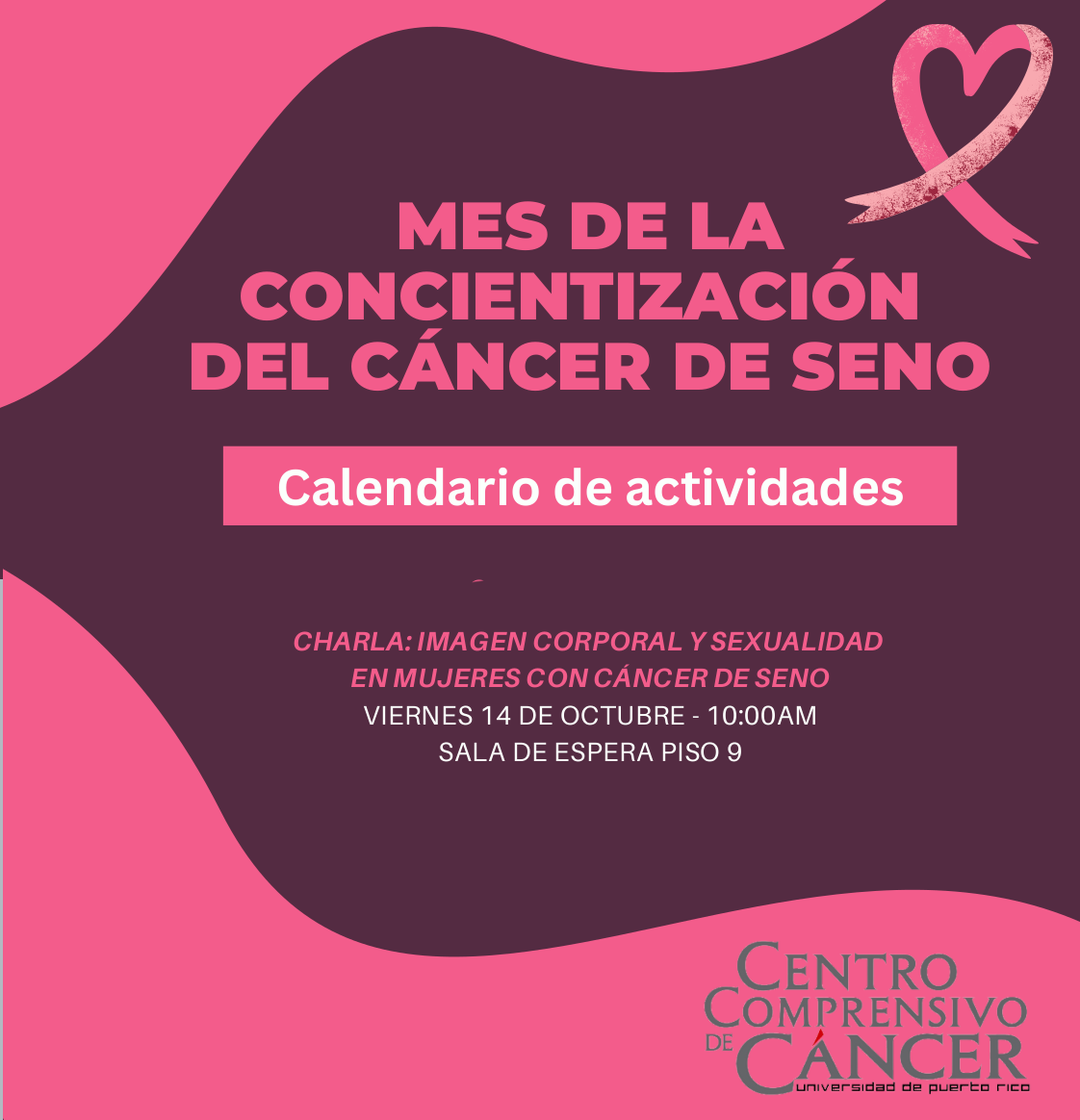 Charla Imagen Corporal Y Sexualidad En Mujers Con Cáncer De Seno Centro Comprensivo De Cáncer